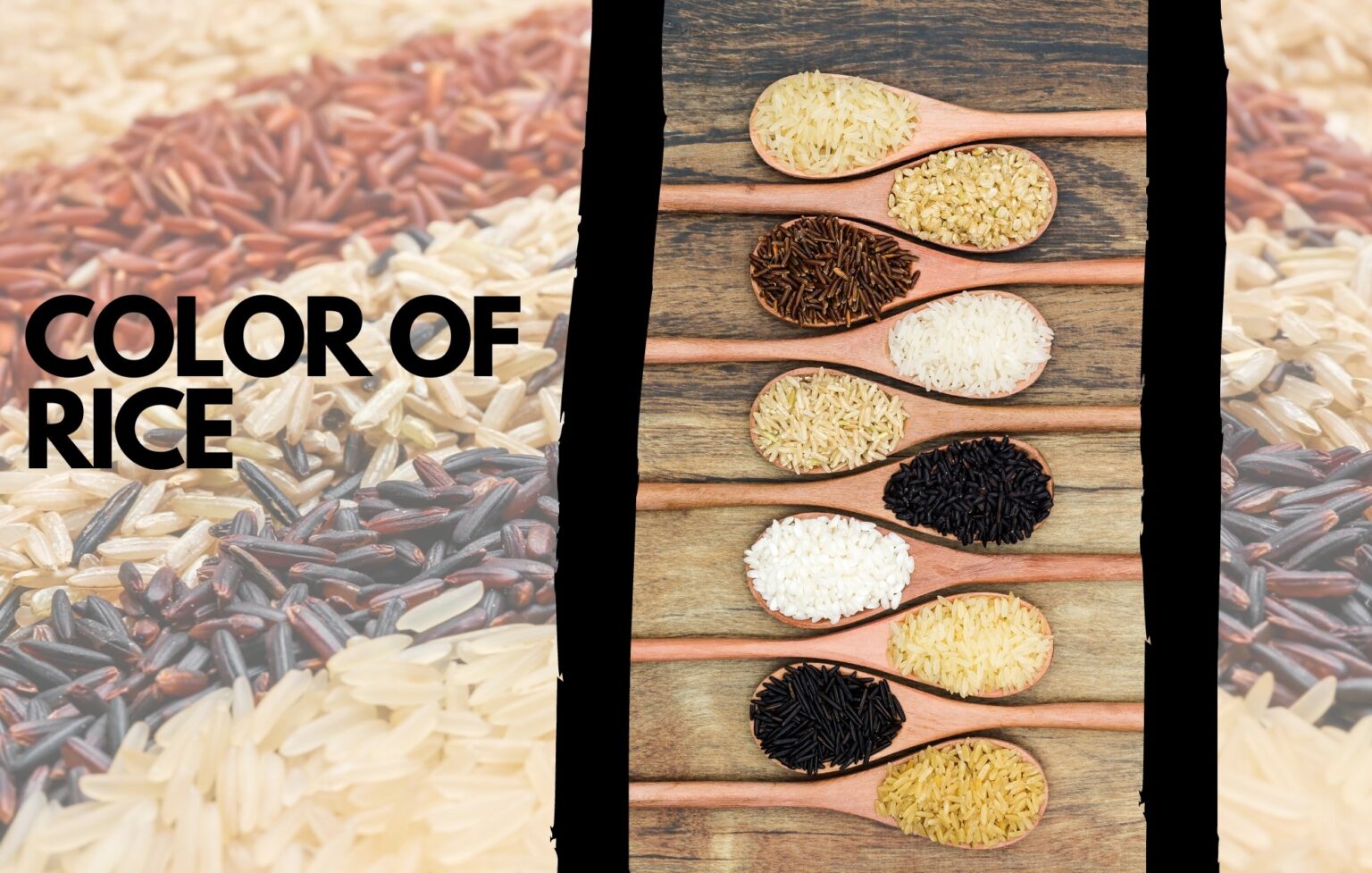 Everything You Need to Know About The Types of Rice - Your Cutlery Advisor